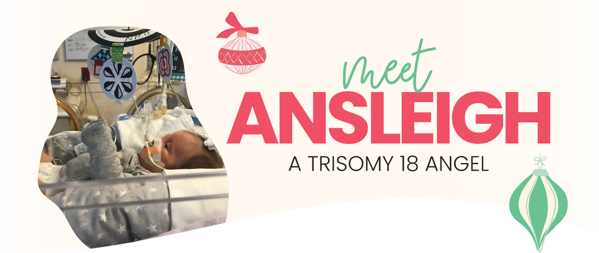 Ansleigh – Laree + Co.