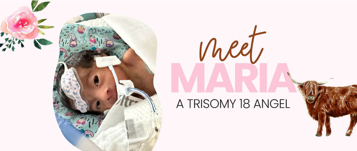 Maria Eloise – Laree + Co.